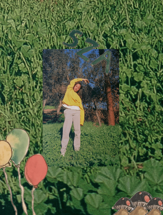 SZA launches artsy, interactive CTRL dedicated website plus video with ...
