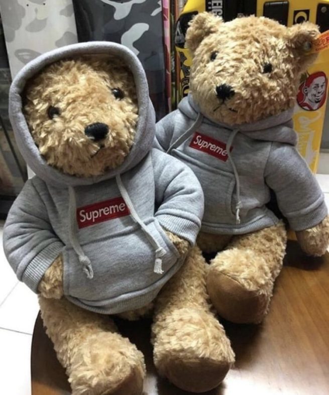 Supreme Steiff Bear Wearing Box Logo Hoodie Releasing December 20th