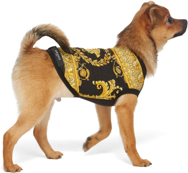 Get Your Dog's Fit Right With High-End Street Designer Coats And ...