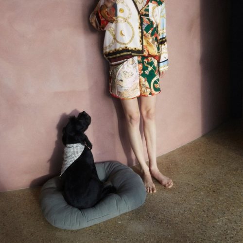 Up Your Dog's Style Quotient With Zara's Pet Collection Of Outerwear ...